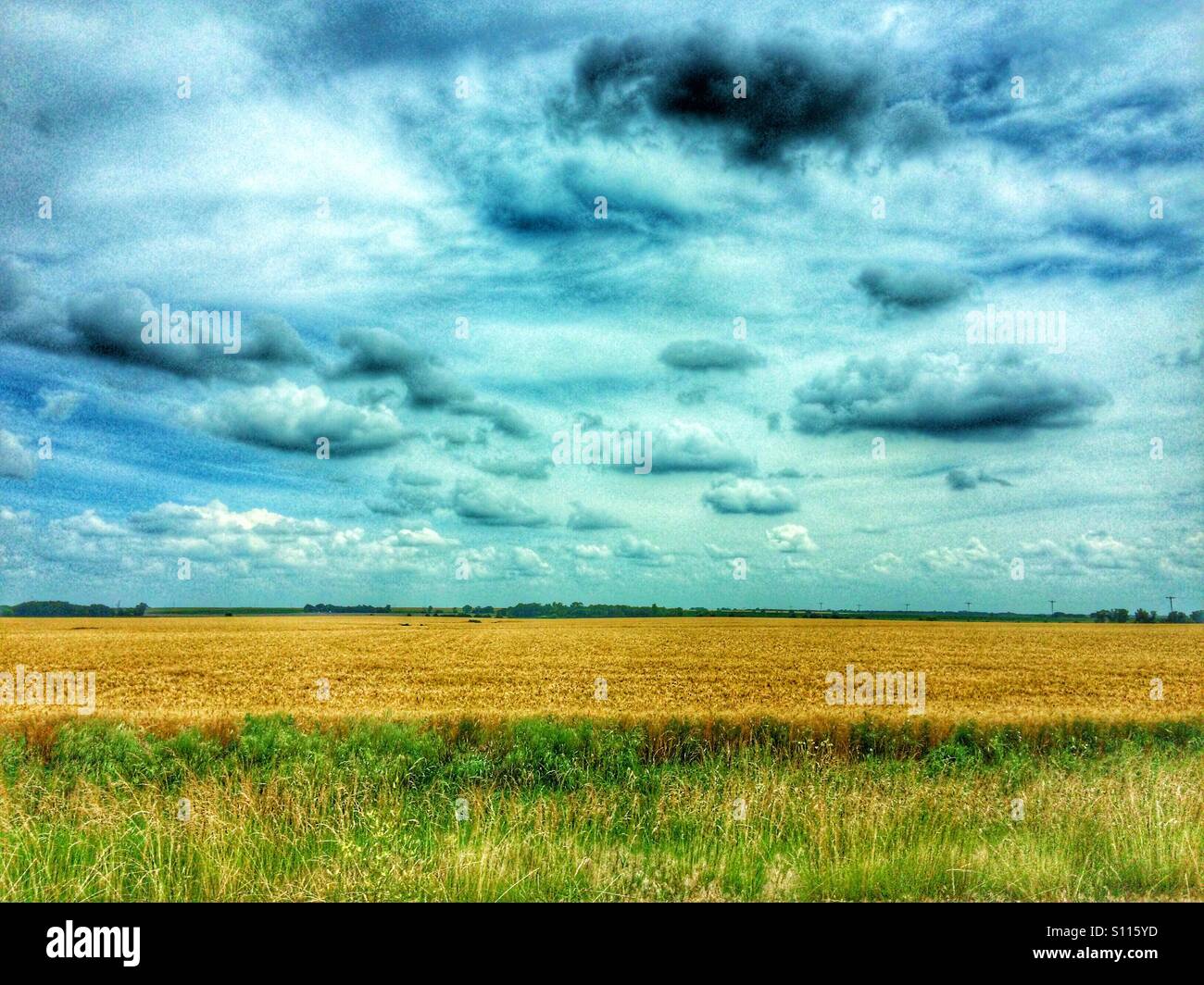Kansas Wheat High Resolution Stock Photography and Images - Alamy