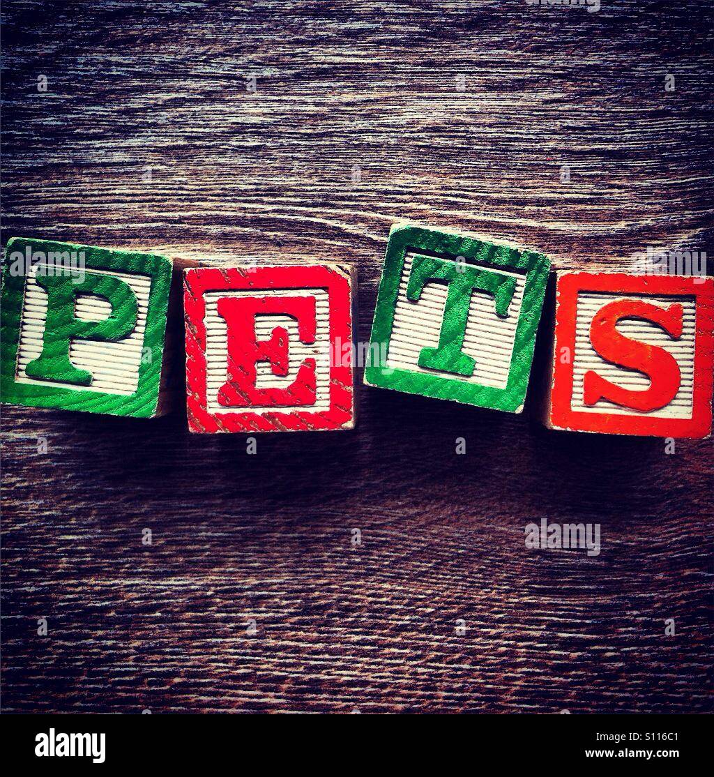 Word PETS done with wood blocks alphabet letters Stock Photo - Alamy
