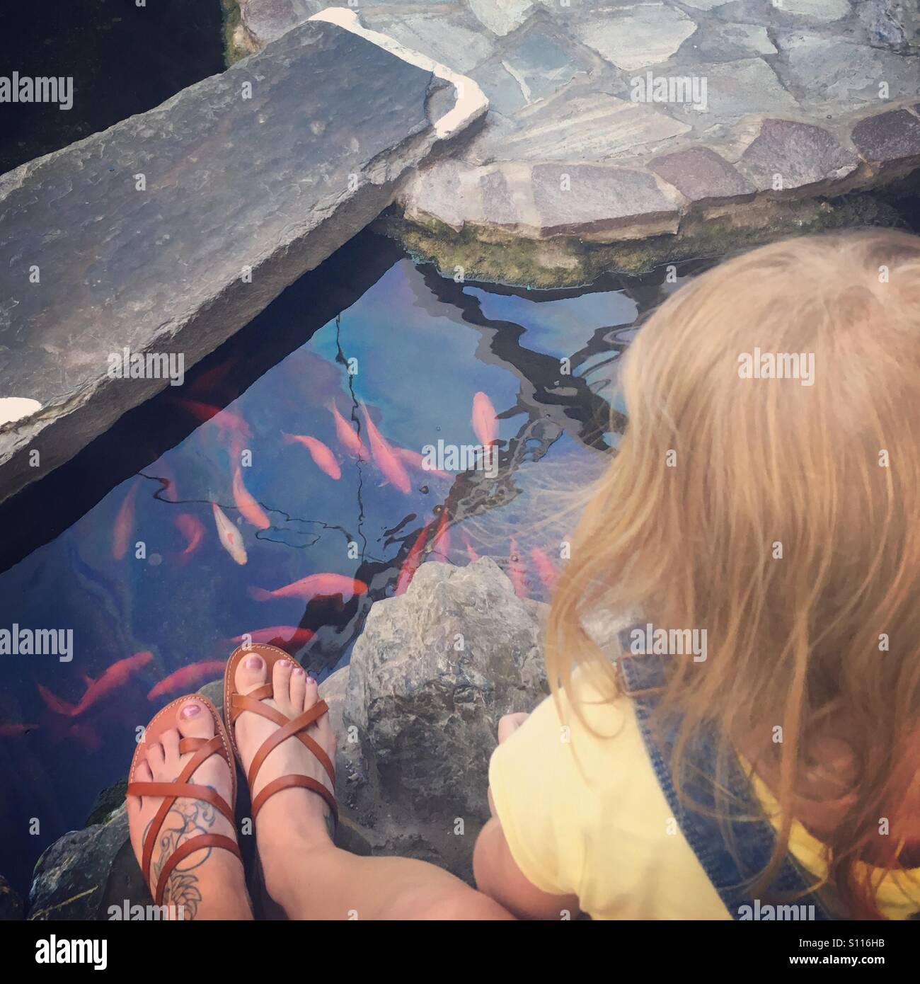 Feeding goldfish, Mother and daughter Stock Photo - Alamy