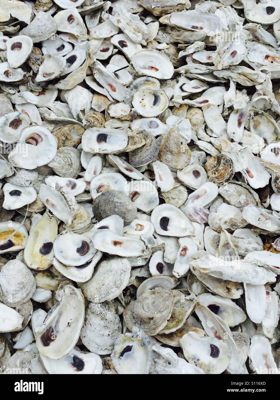 Shell shocked hi-res stock photography and images - Alamy