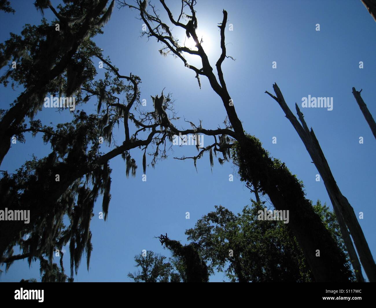 Midday sun hi-res stock photography and images - Alamy