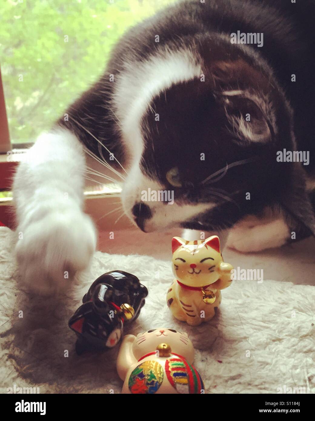 Cat vs. cat figurines Stock Photo - Alamy