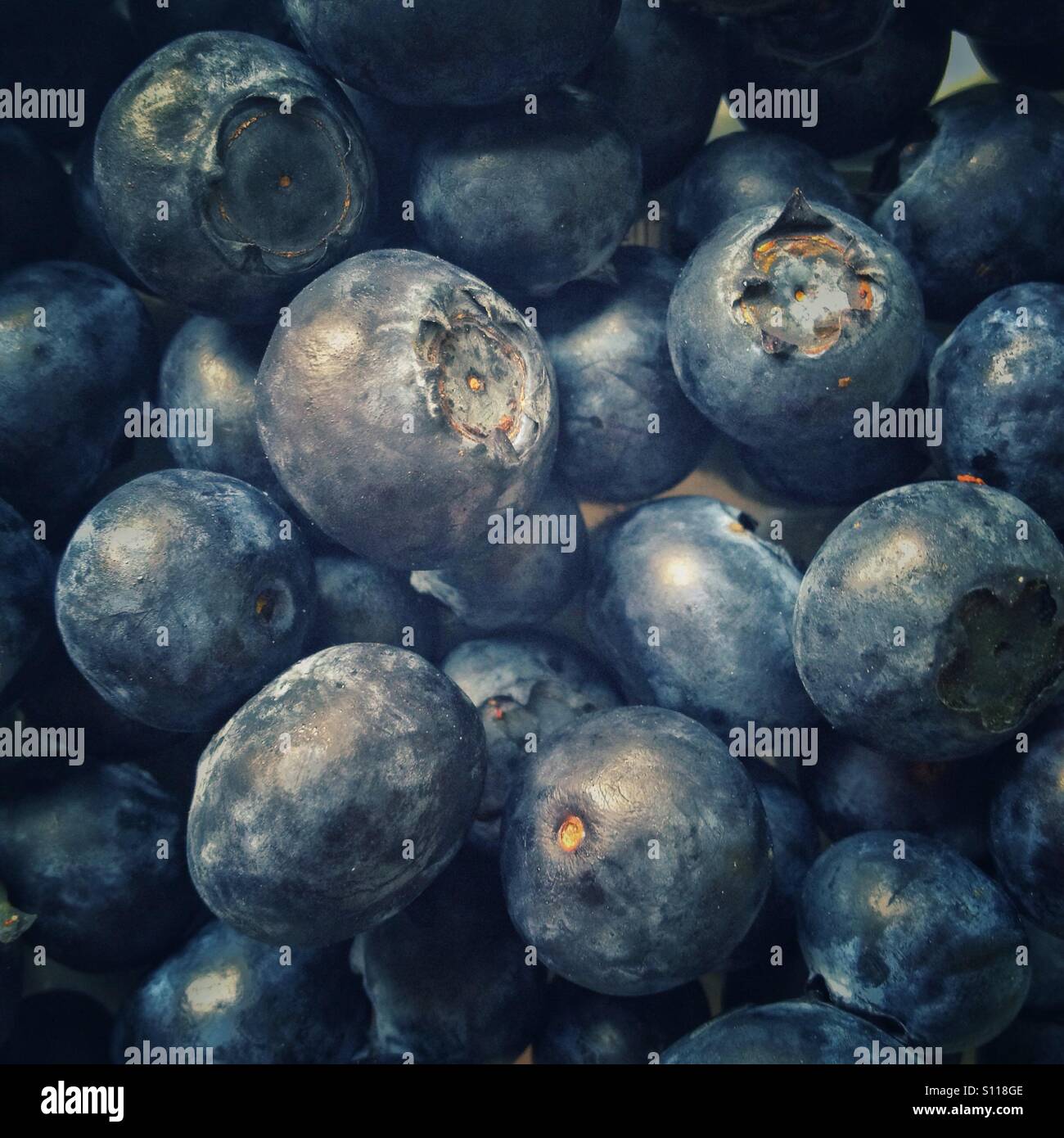 Small blueberries hi-res stock photography and images - Alamy