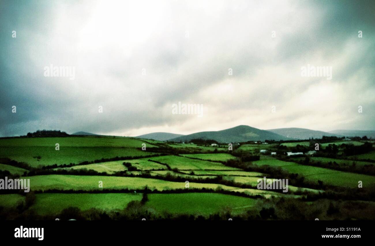 Irish fields during a rainy winter Stock Photo - Alamy