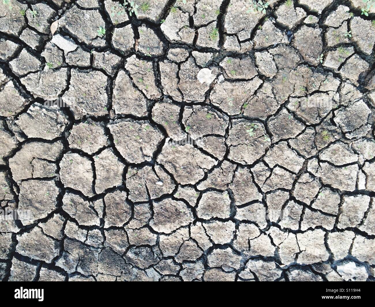 Crack cracking cracked hi-res stock photography and images - Alamy