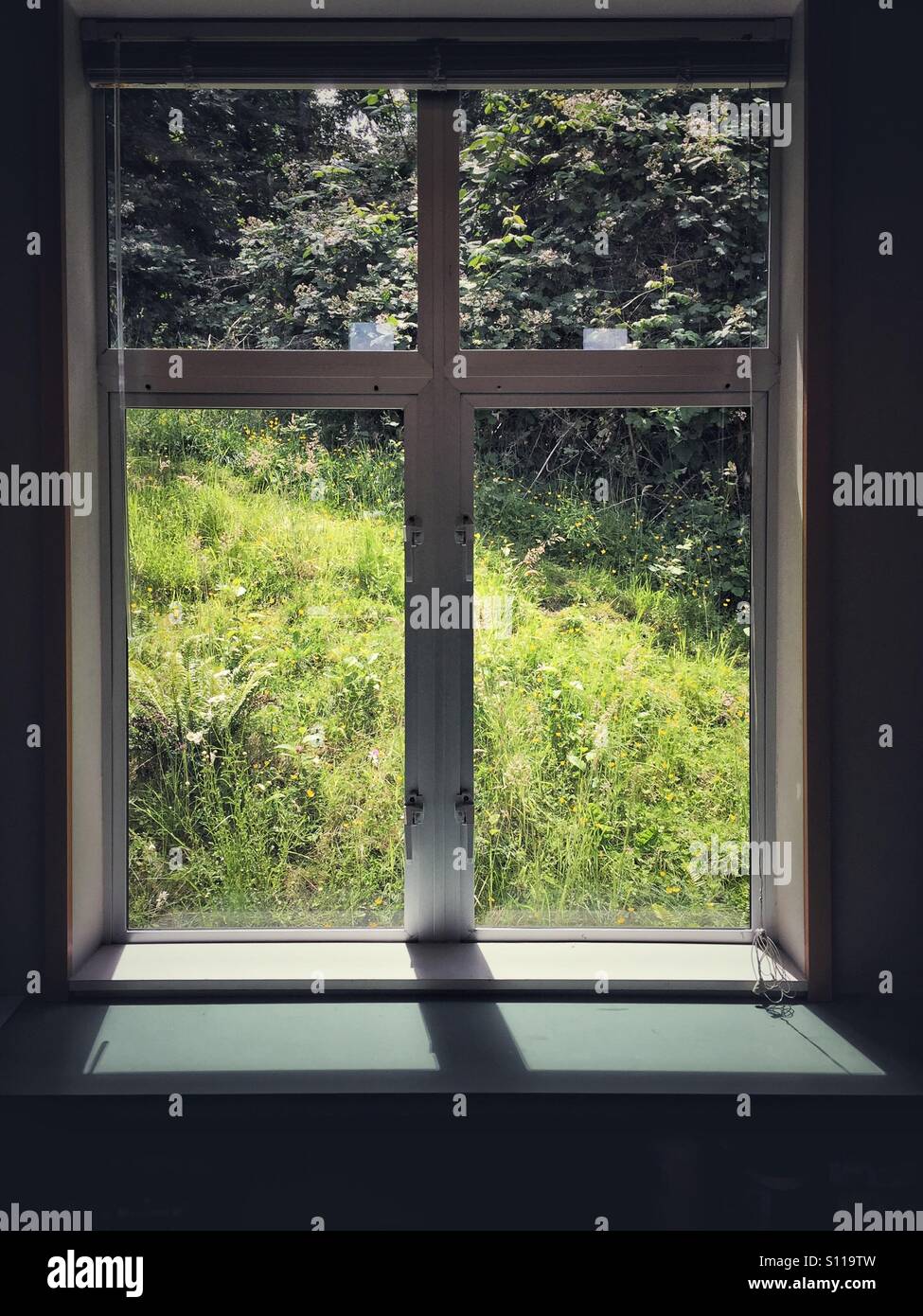 Modern window overlooking green hill and trees Stock Photo - Alamy