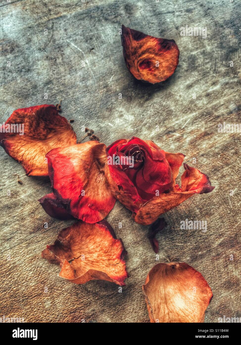 Death memories hi-res stock photography and images - Alamy