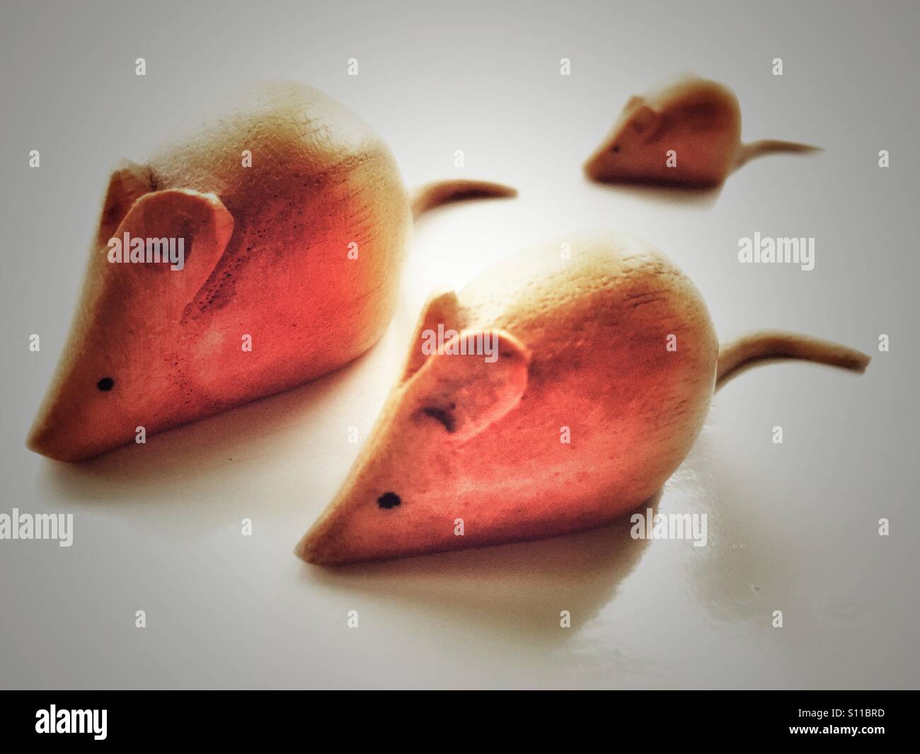 Wood mice hi-res stock photography and images - Alamy