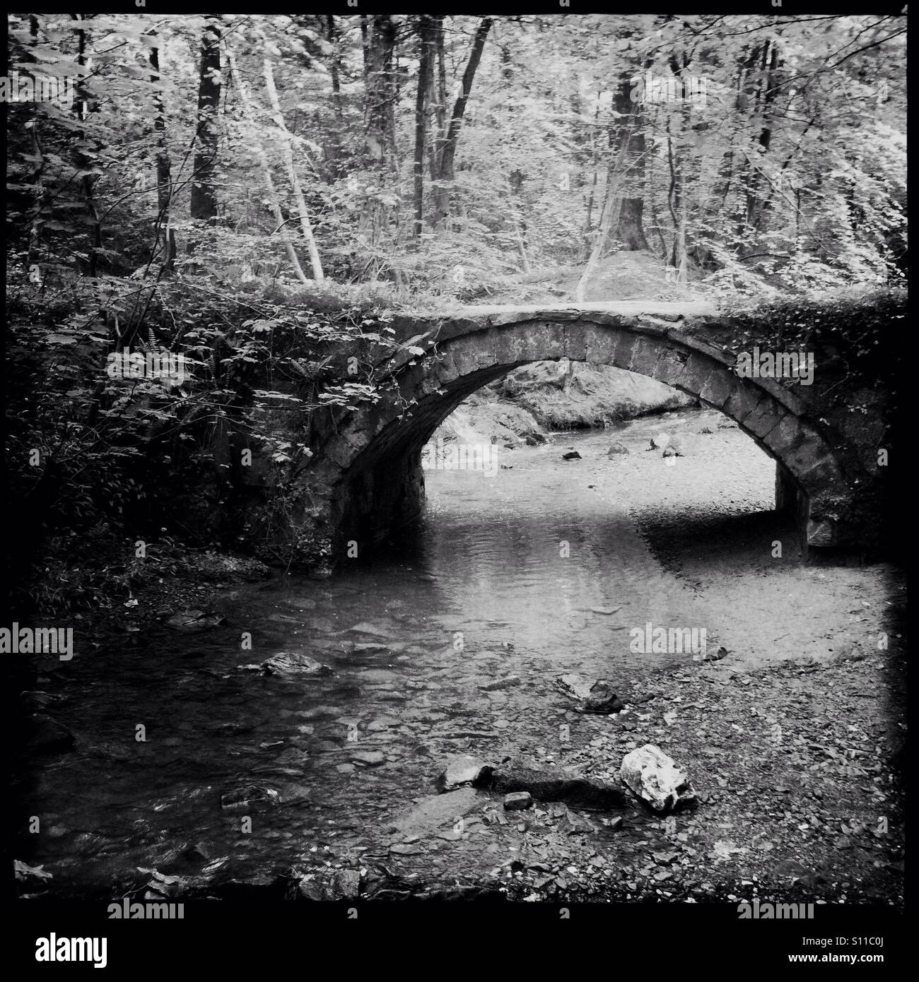 Welsh woodlands hi-res stock photography and images - Alamy