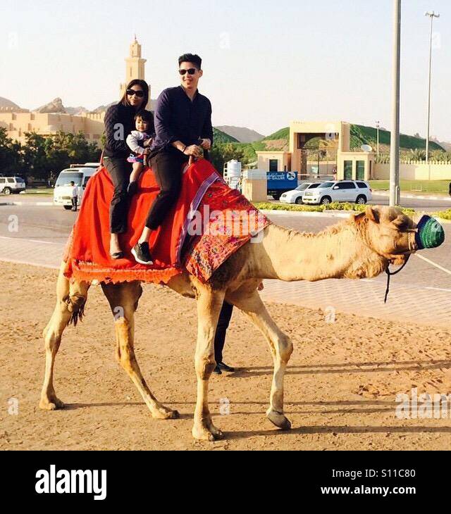 Camel riding abu dhabi hi-res stock photography and images - Alamy