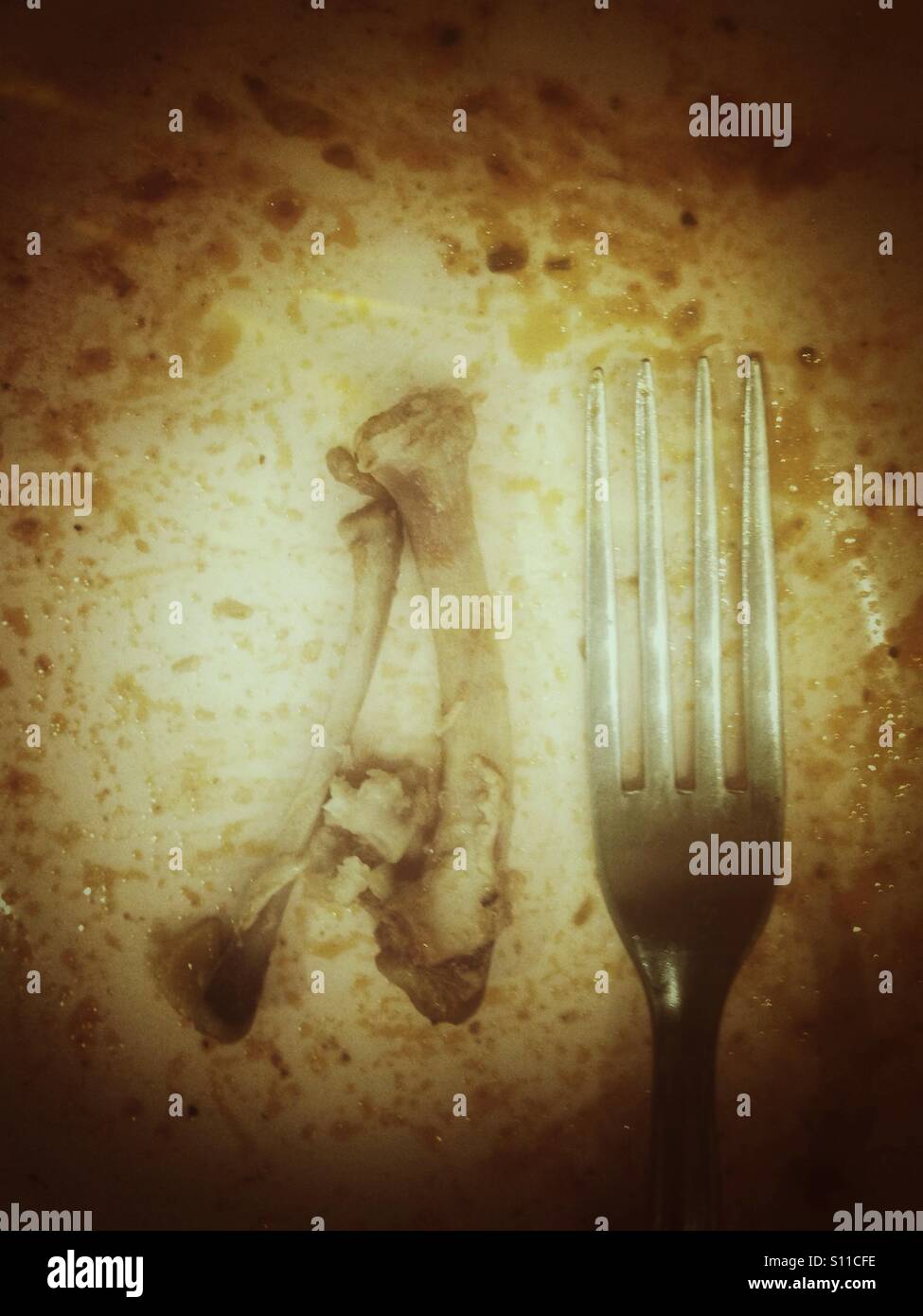 Chicken bones and fork in an empty plate Stock Photo - Alamy