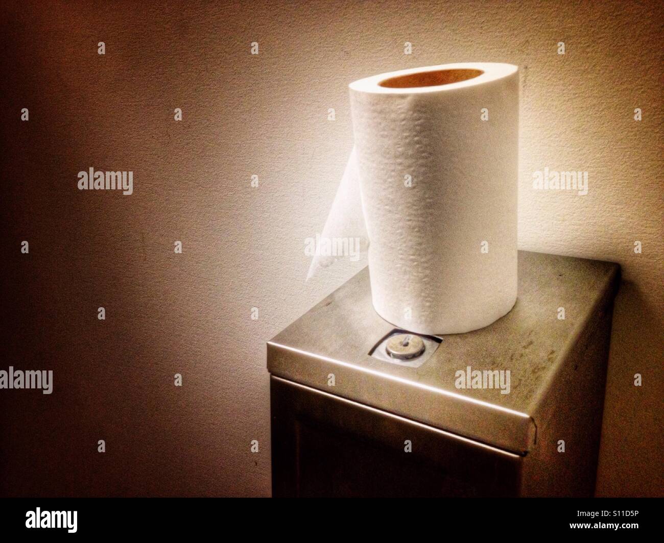 Roll of toilet paper in a public toilet Stock Photo - Alamy