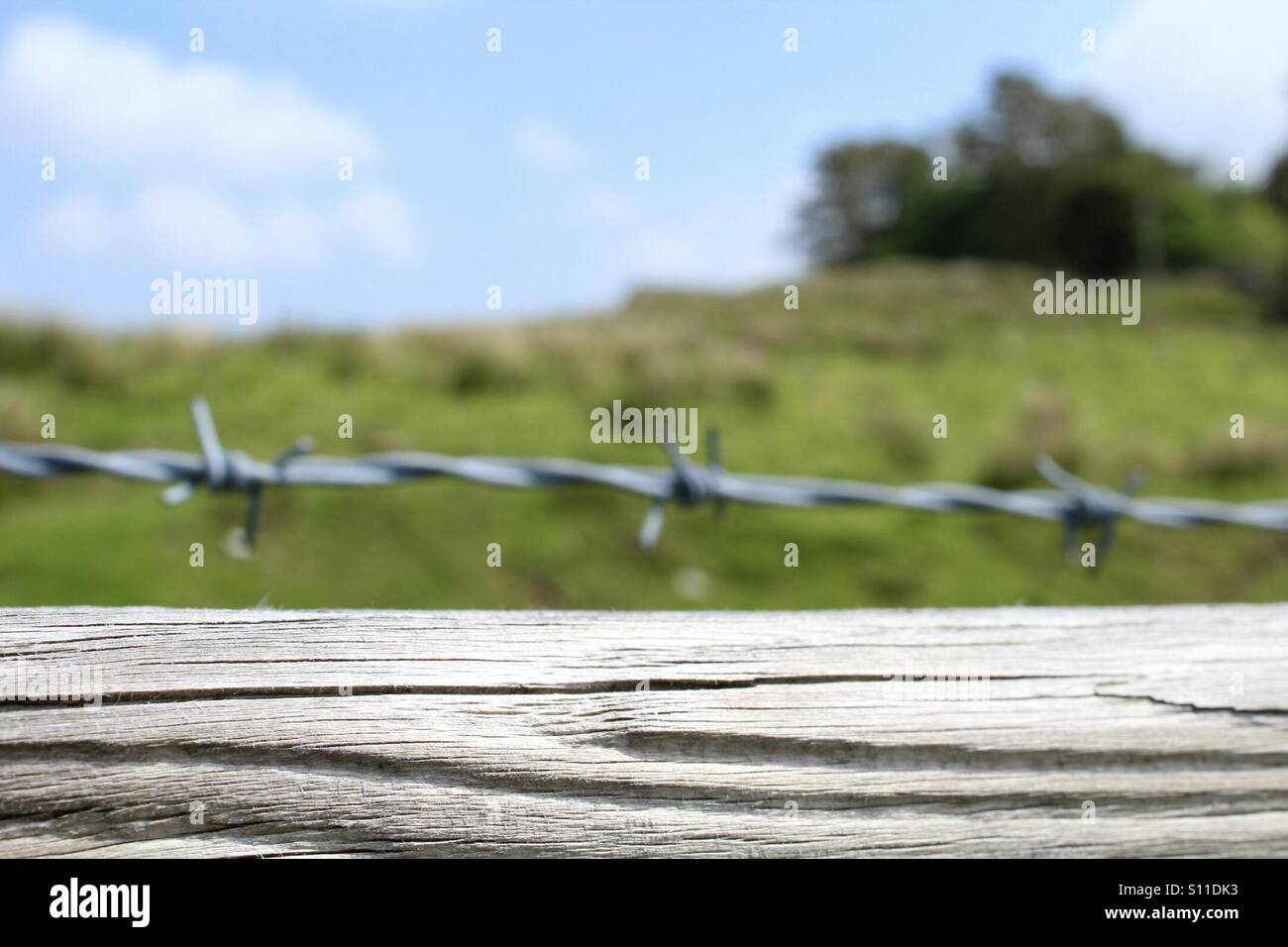 Holding back nature Stock Photo - Alamy