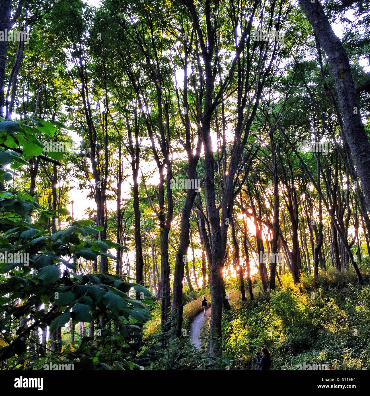 Seattle discovery park hi-res stock photography and images - Alamy