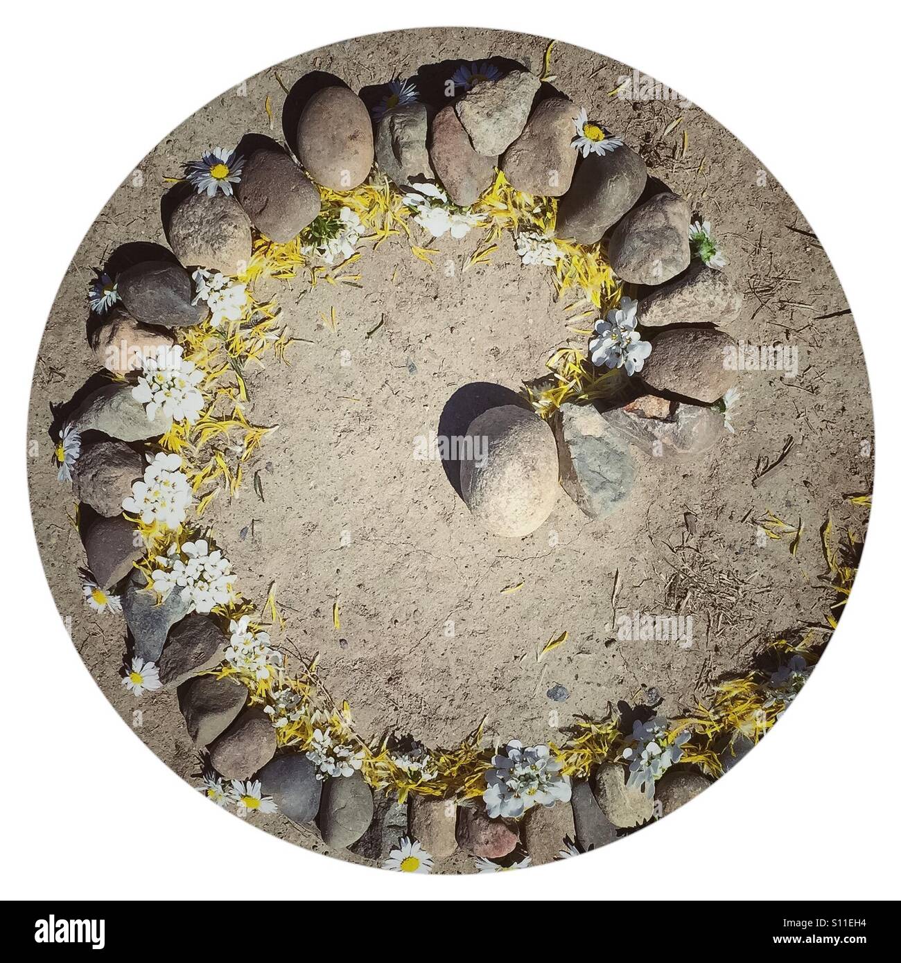 circle of rocks and petals on the ground arranged in spiral pattern ...