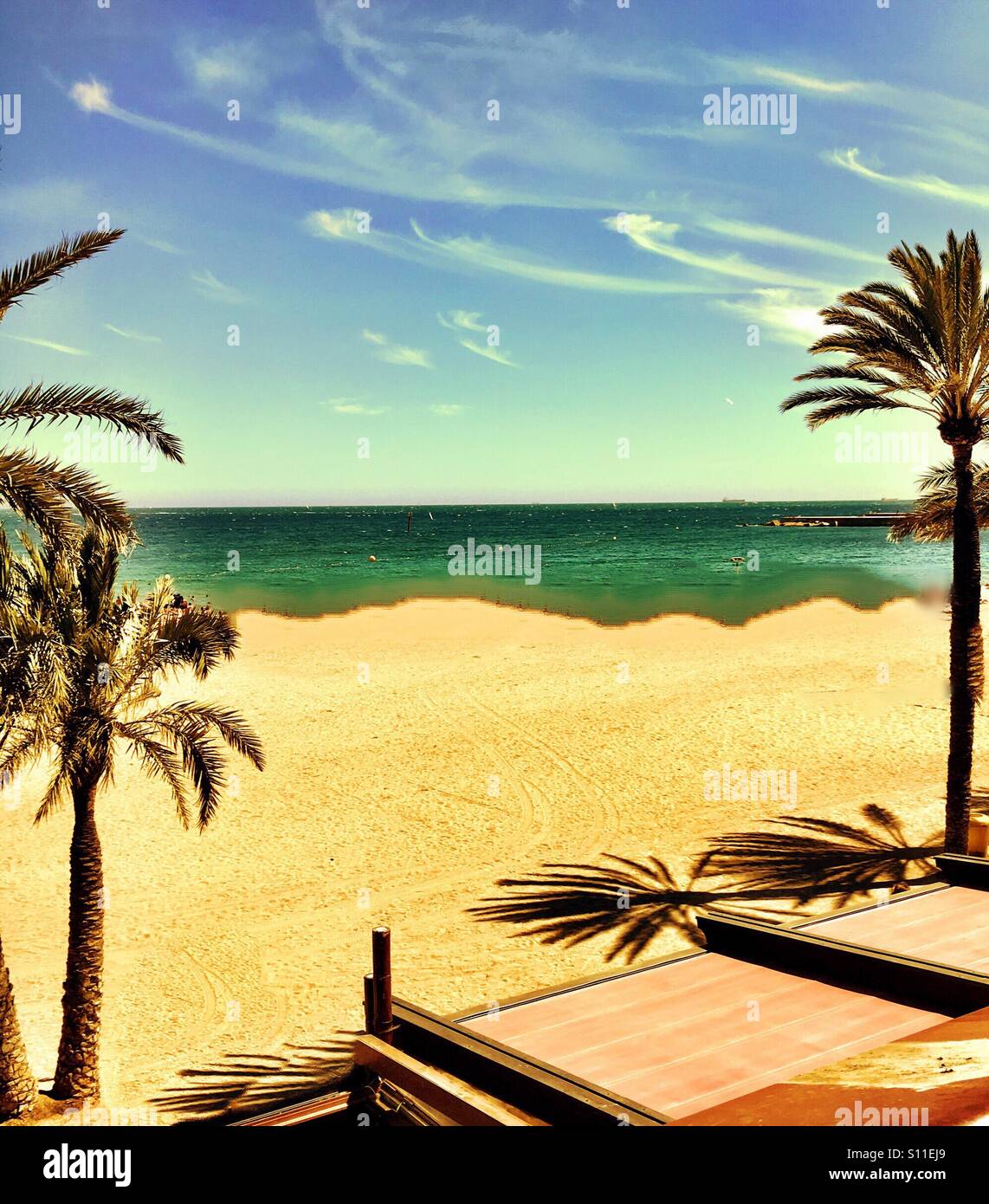 Foreign trees hi-res stock photography and images - Alamy