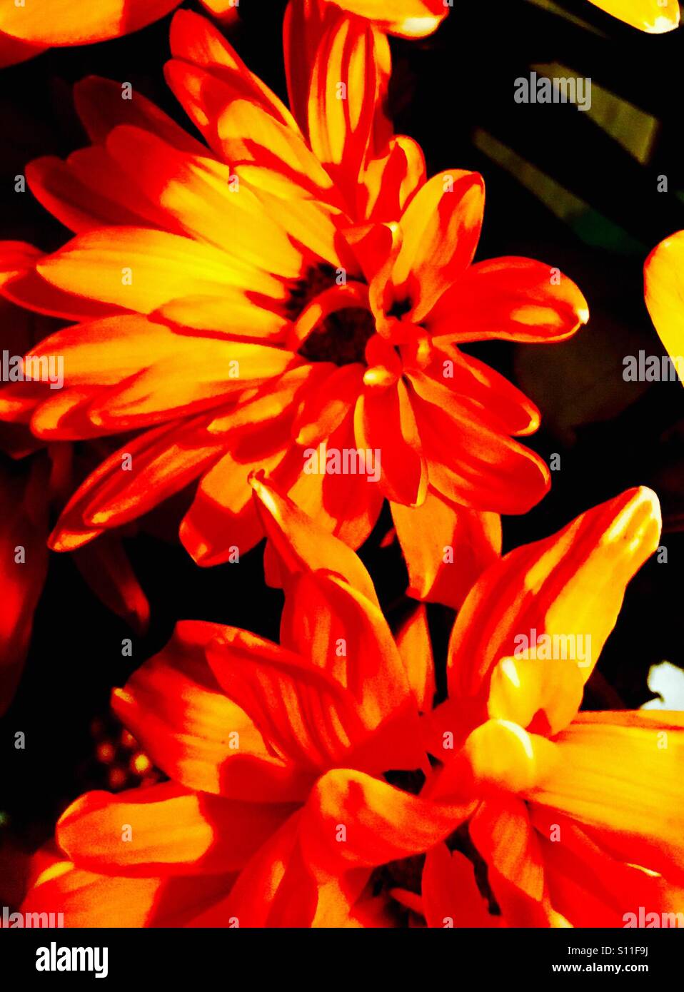 Open bright hi-res stock photography and images - Alamy