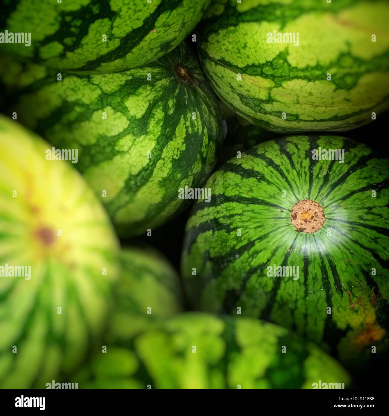 Watermelon display hi-res stock photography and images - Alamy