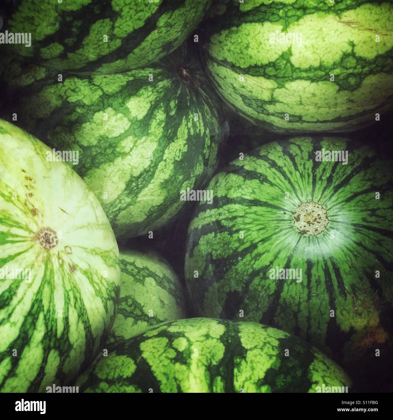 Watermelons fruits hi-res stock photography and images - Alamy