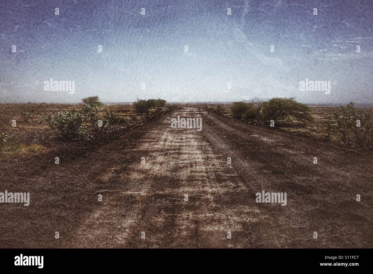 Deserted old road Stock Photo - Alamy