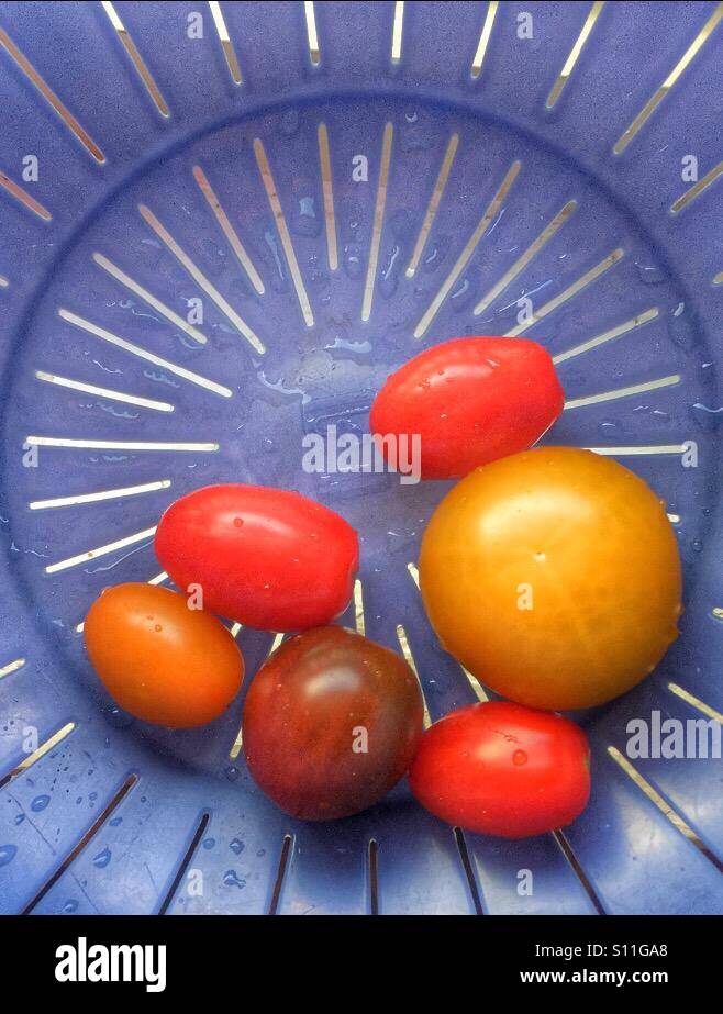 Freshly washed tomatoes Stock Photo - Alamy