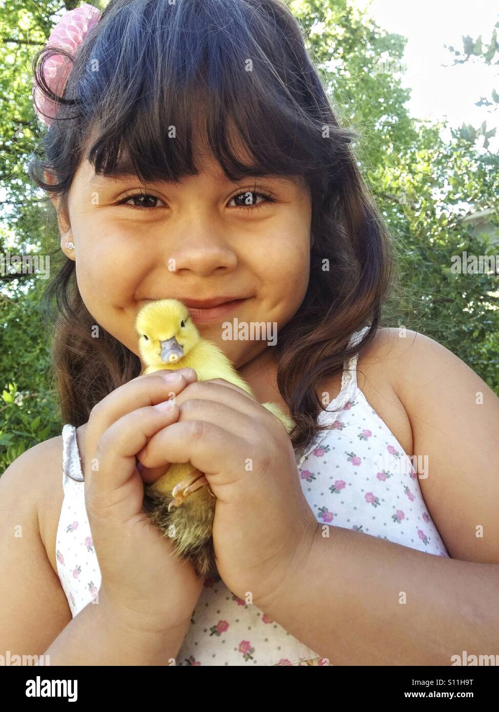 Duckling girl duck hi-res stock photography and images - Alamy