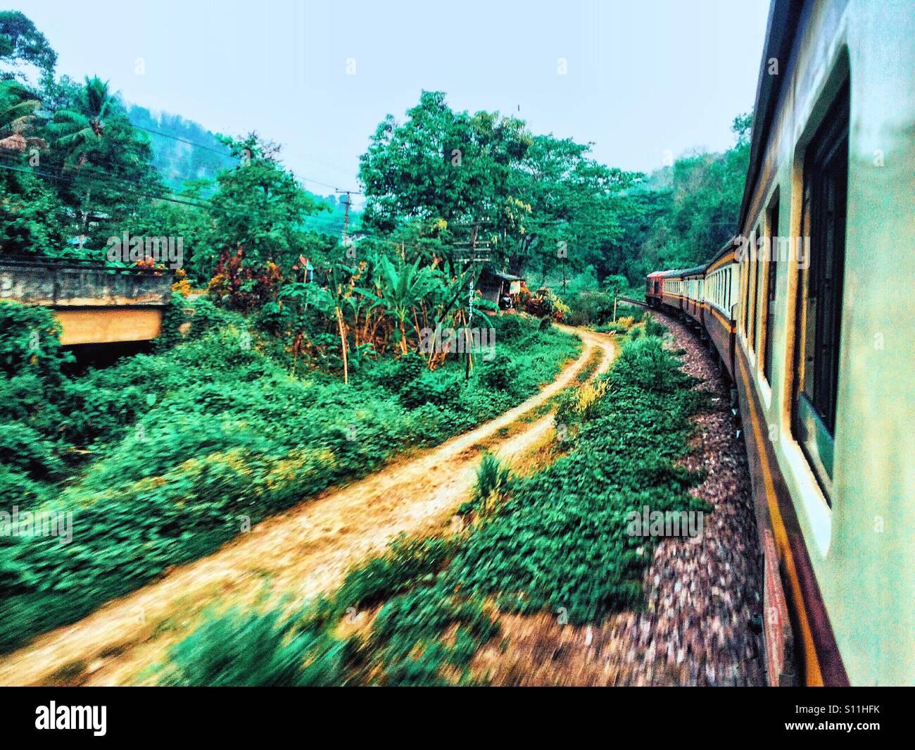 Jungle window hi-res stock photography and images - Alamy