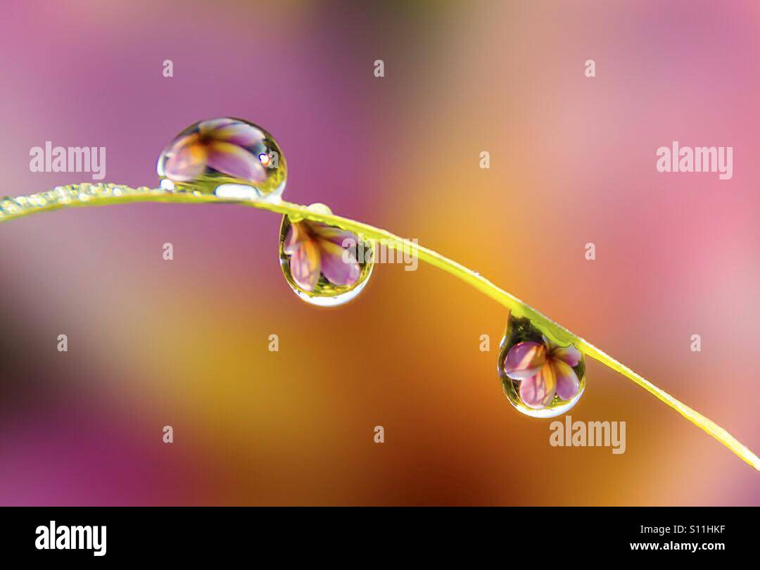 Tears of the sun Stock Photo - Alamy