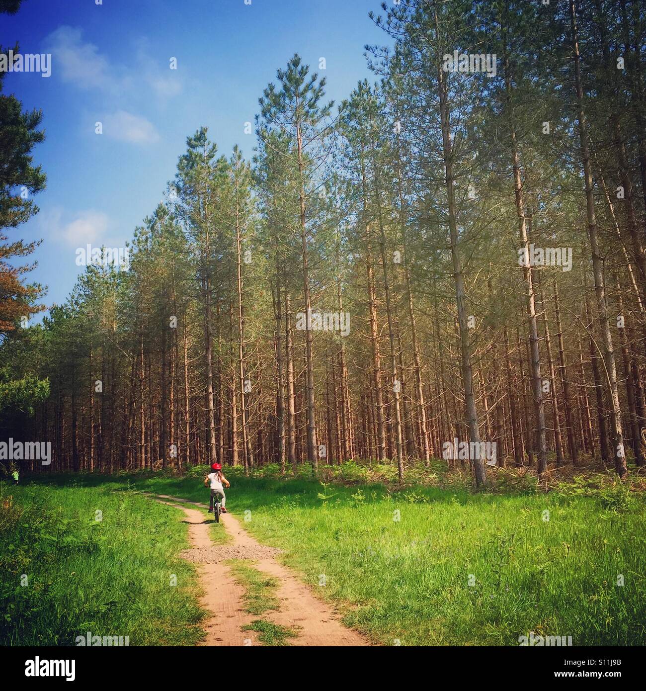 Family Cycling Woods High Resolution Stock Photography and Images - Alamy