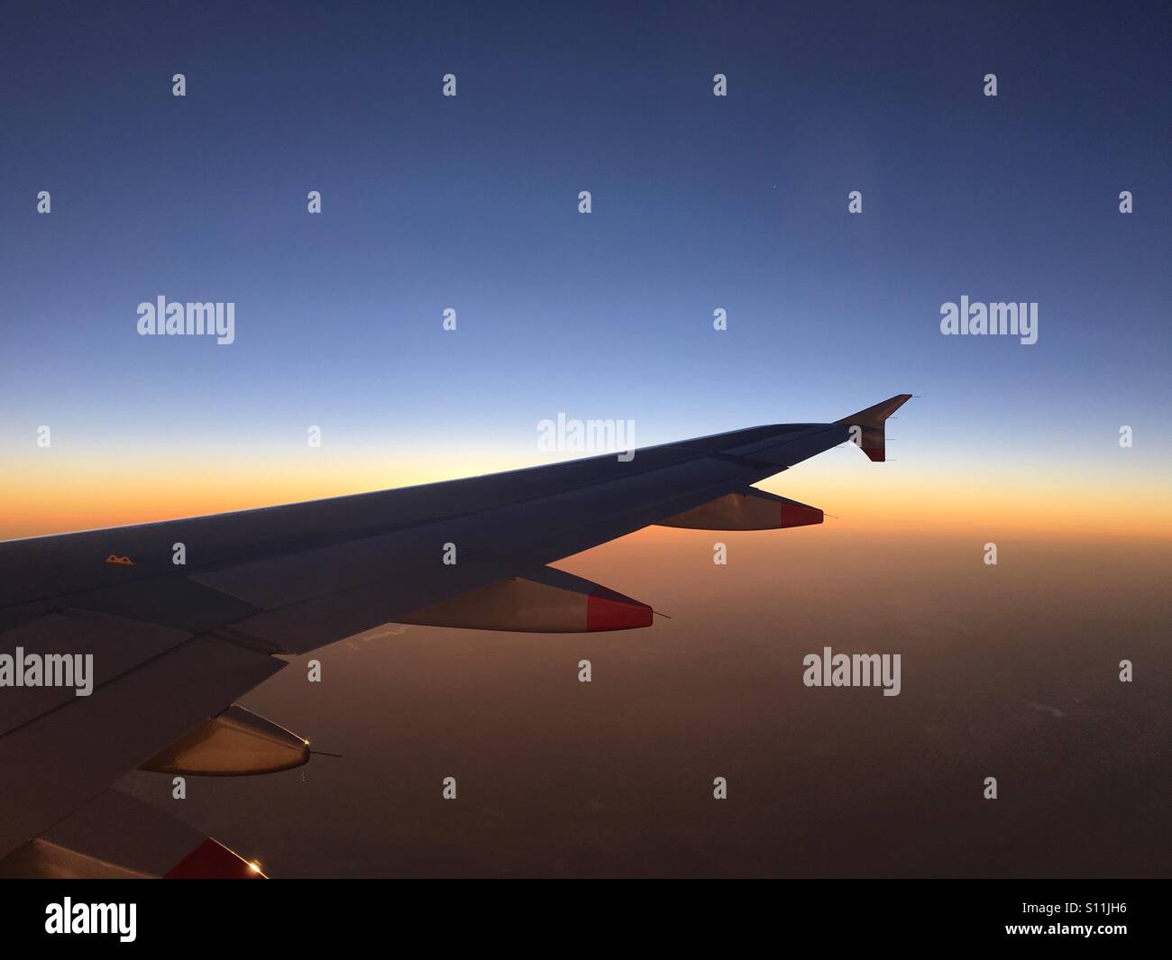 Big wing hi-res stock photography and images - Alamy