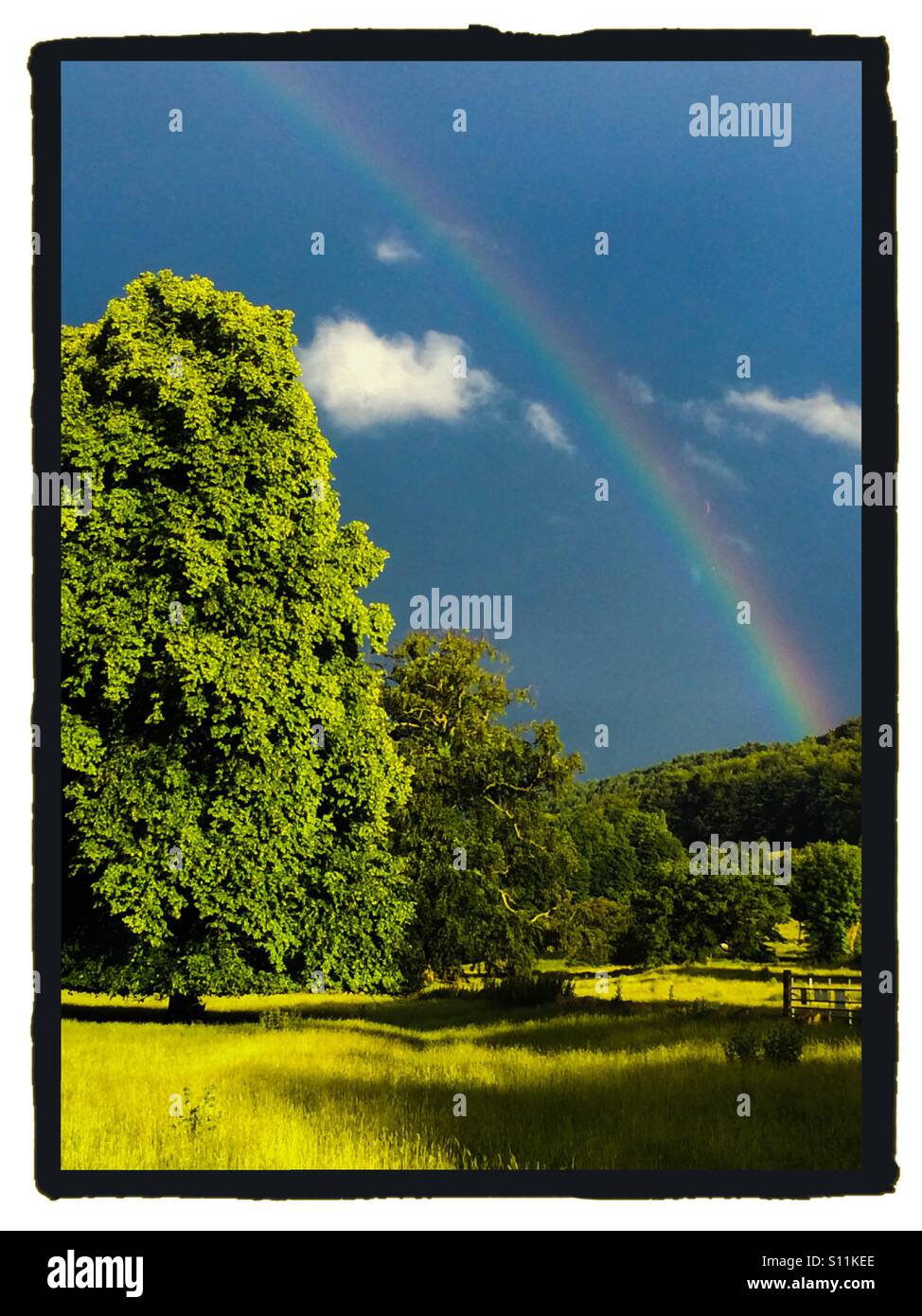 Rainbow and stormy sky with tree in foreground Stock Photo - Alamy
