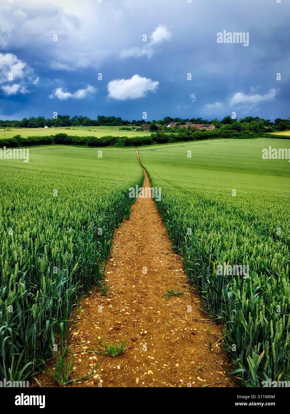 Path field wheat hi-res stock photography and images - Alamy