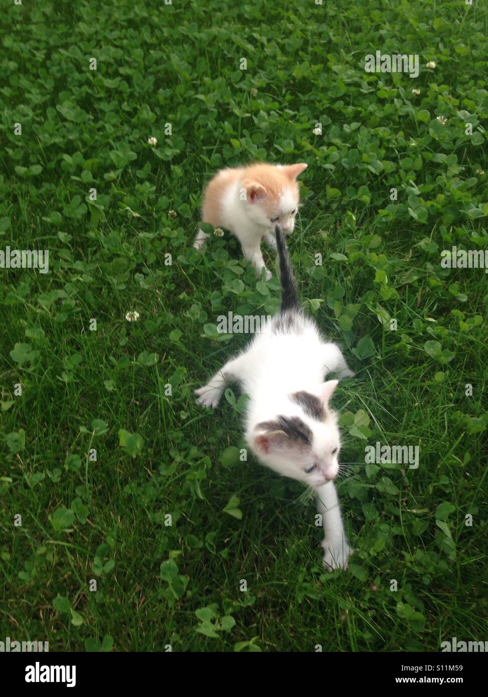 First steps are always tricky Stock Photo - Alamy