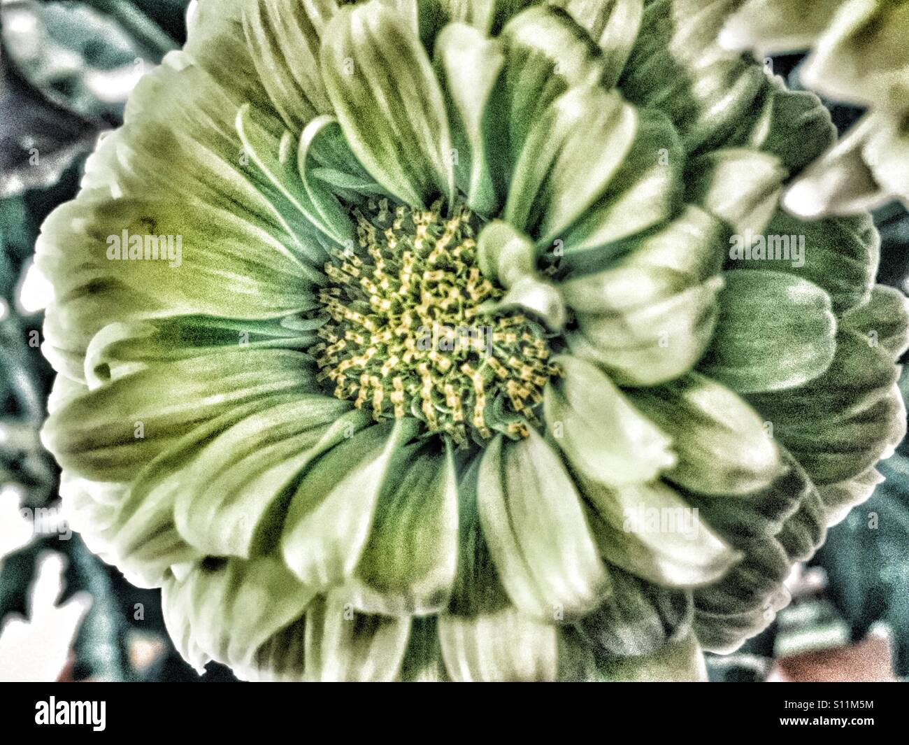 Freshman centre hi-res stock photography and images - Alamy