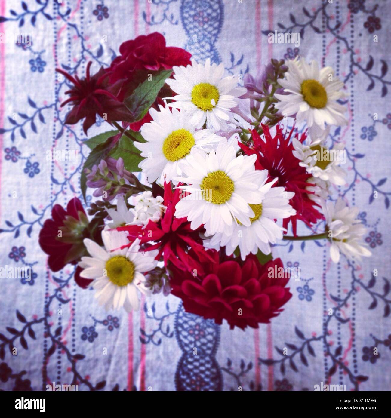 Red white blue flowers hi-res stock photography and images - Alamy