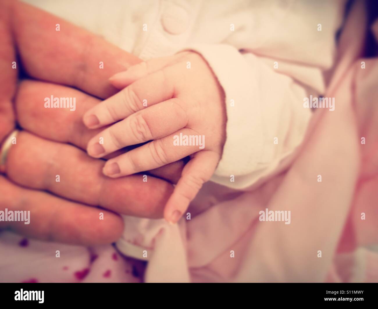 New born princess Stock Photo - Alamy
