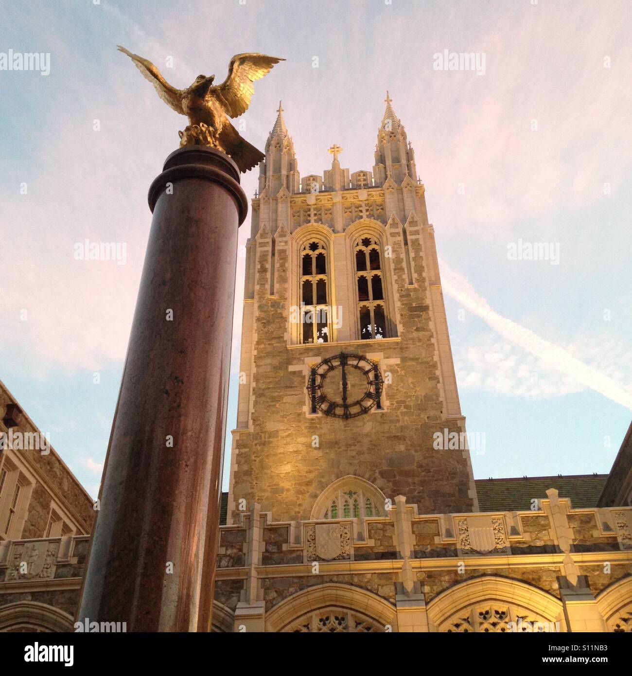 Boston college pride hi-res stock photography and images - Alamy