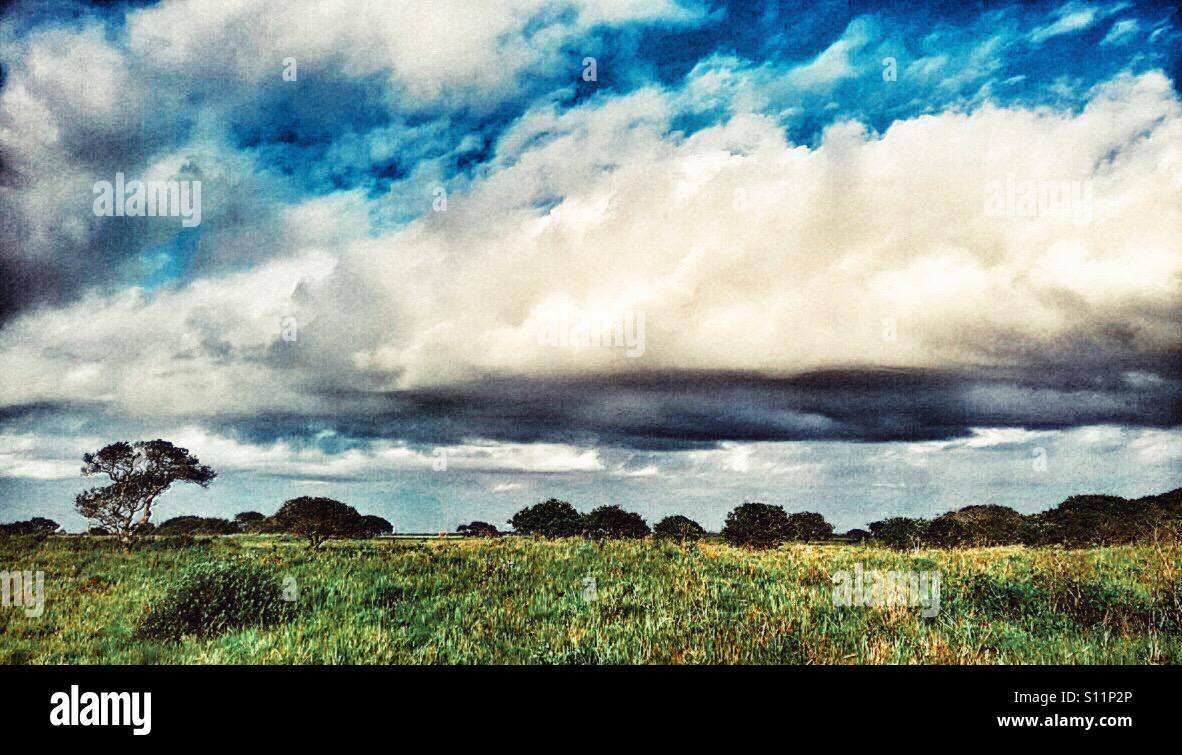 Isimangaliso unesco wetland park hi-res stock photography and images ...