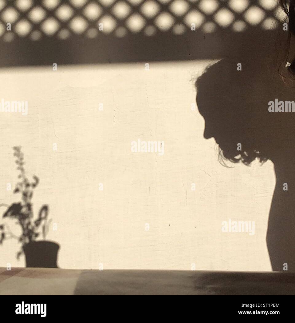 Shadowplay hi-res stock photography and images - Alamy