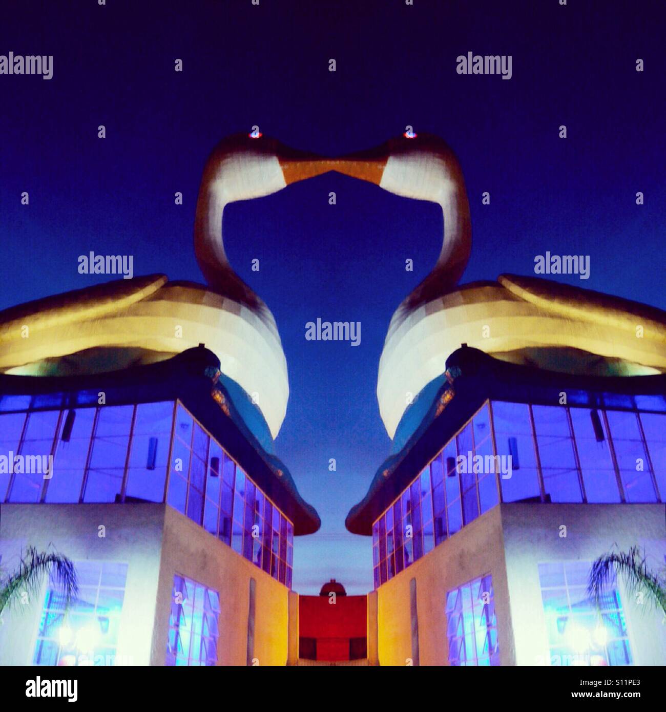 Kissing geese hi-res stock photography and images - Alamy