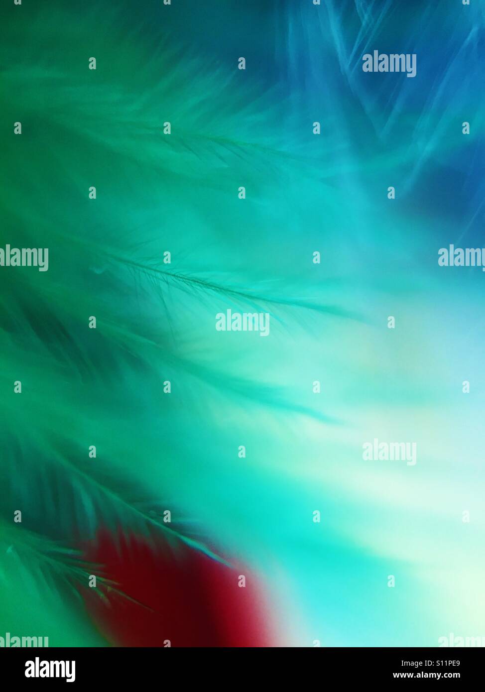 Soft turquoise hi-res stock photography and images - Alamy