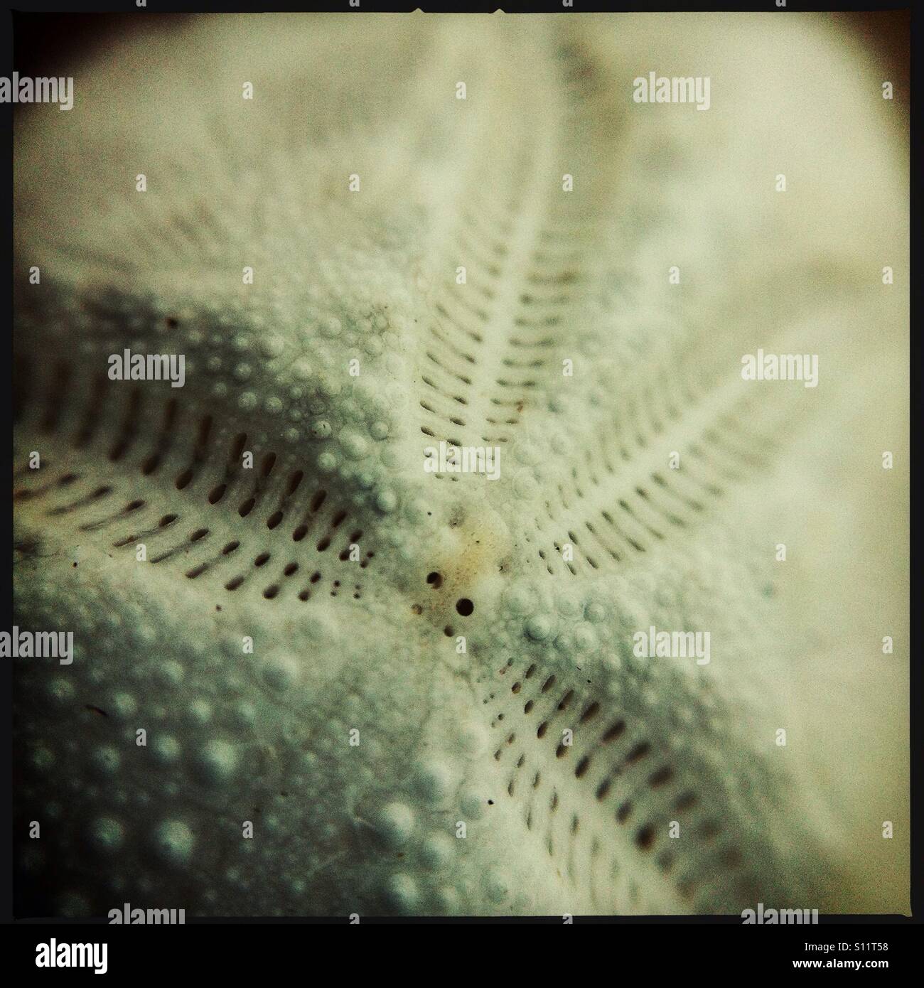 Marinduque philippines hi-res stock photography and images - Alamy