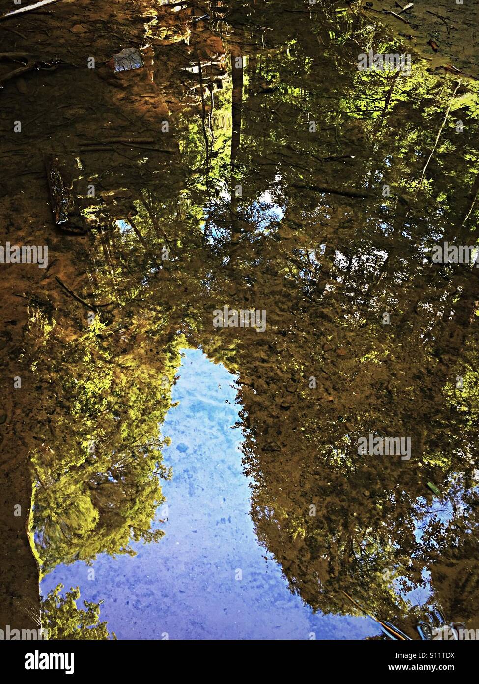 Reflection in a puddle Stock Photo - Alamy