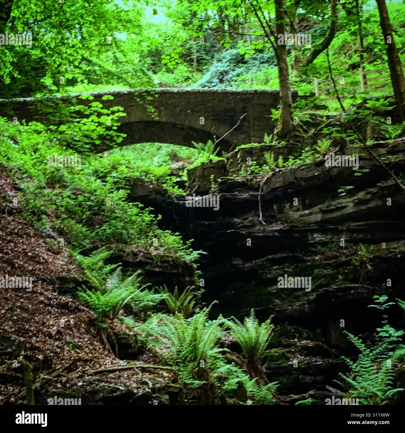 There Was A Lot Of Greenery High Resolution Stock Photography and ...