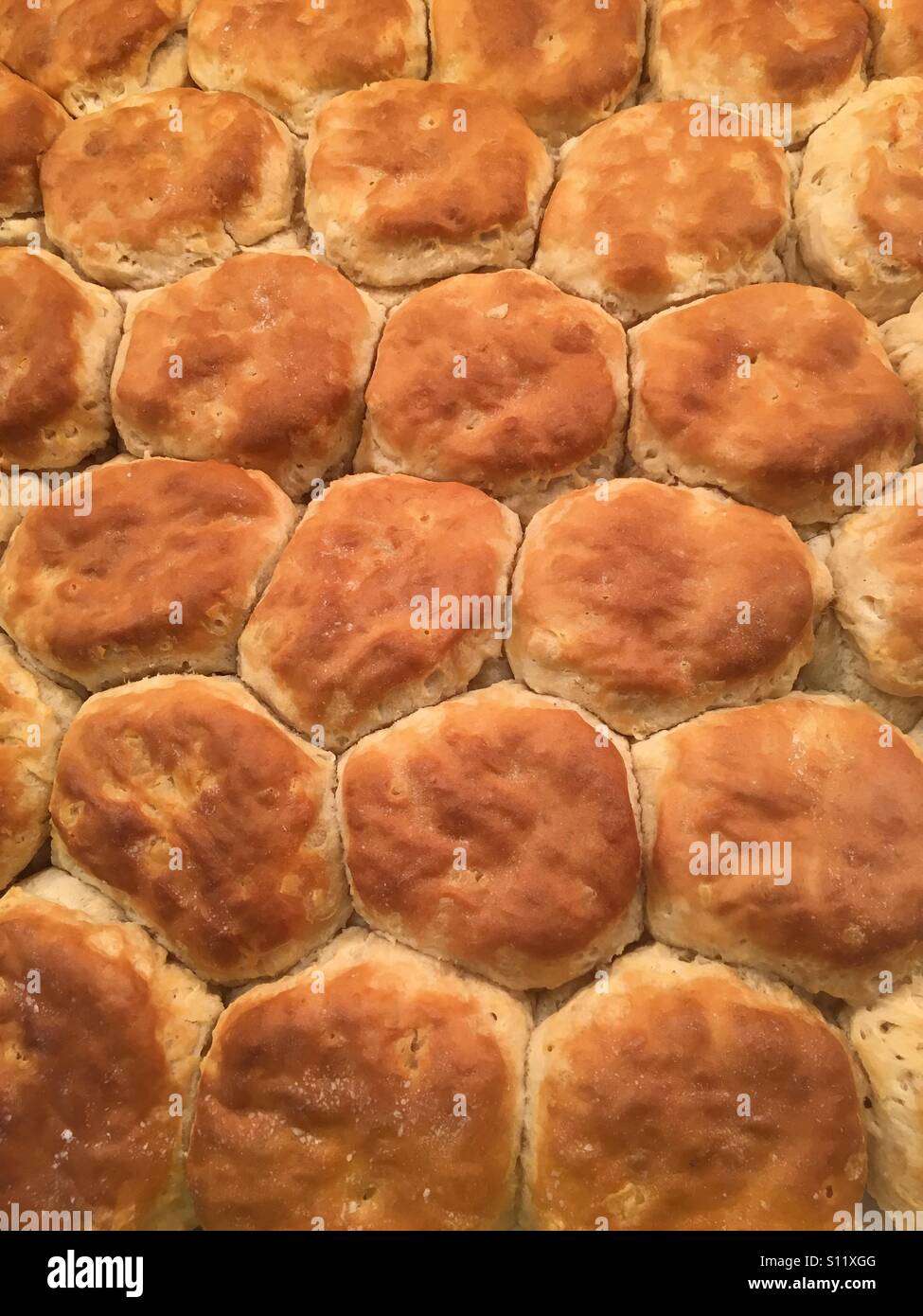 Nice pic hi-res stock photography and images - Alamy