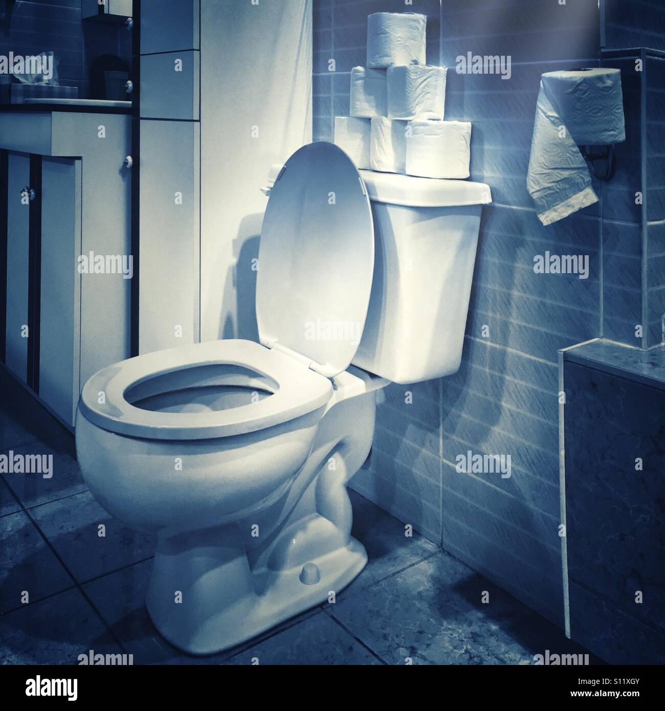 Toilet house washroom hi-res stock photography and images - Alamy