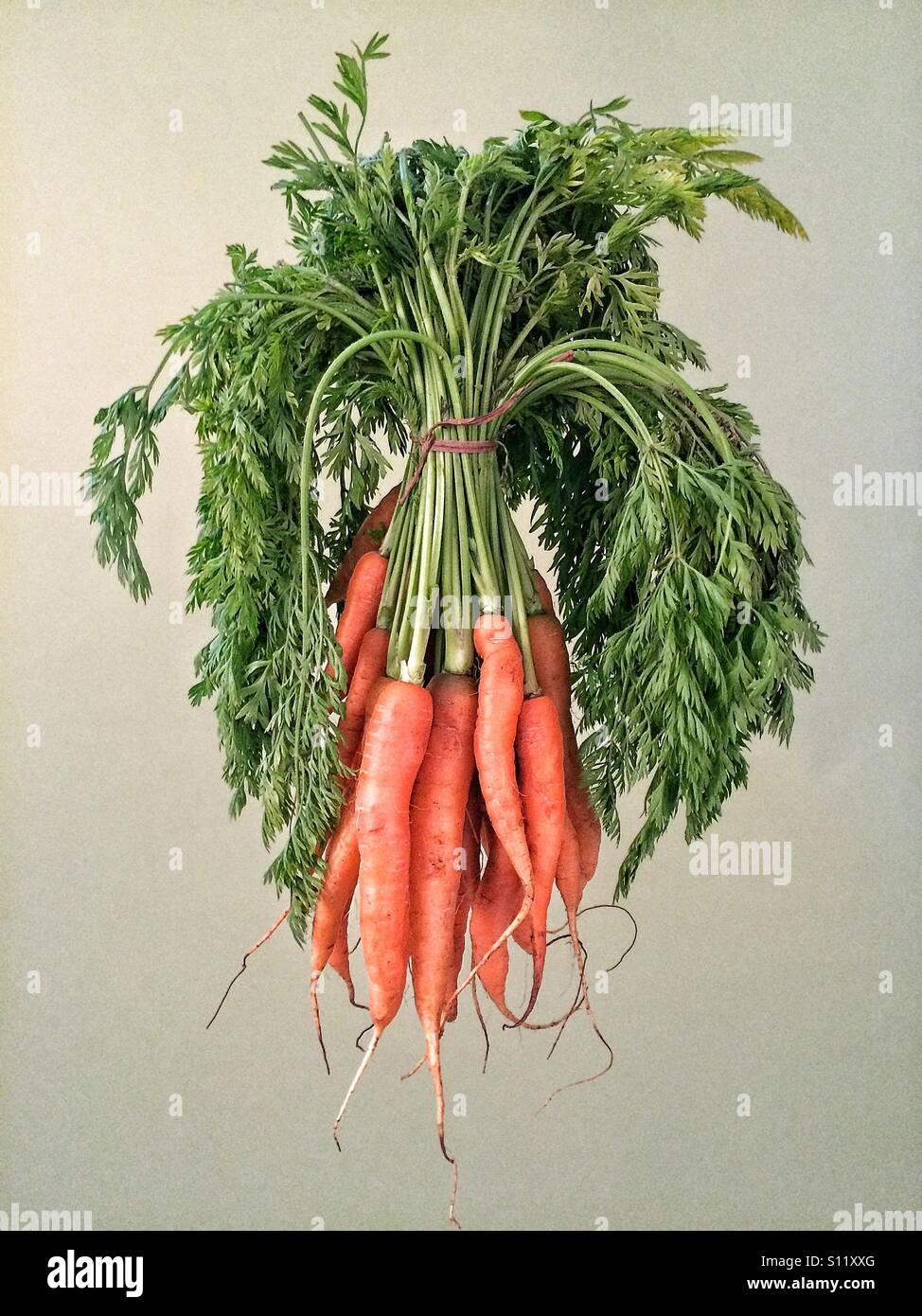 Carrot bunch hi-res stock photography and images - Alamy