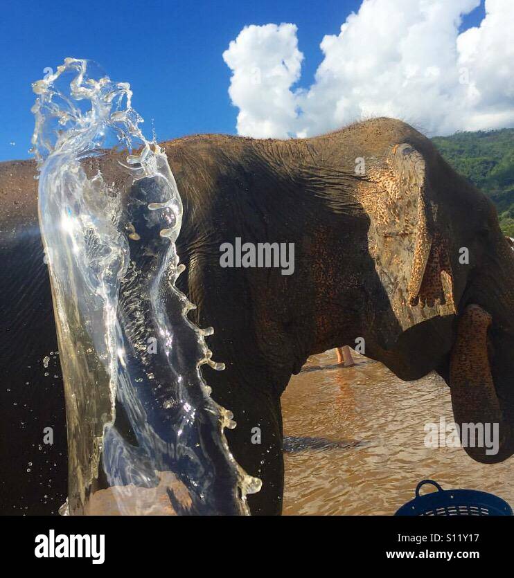 Bath time hi-res stock photography and images - Alamy