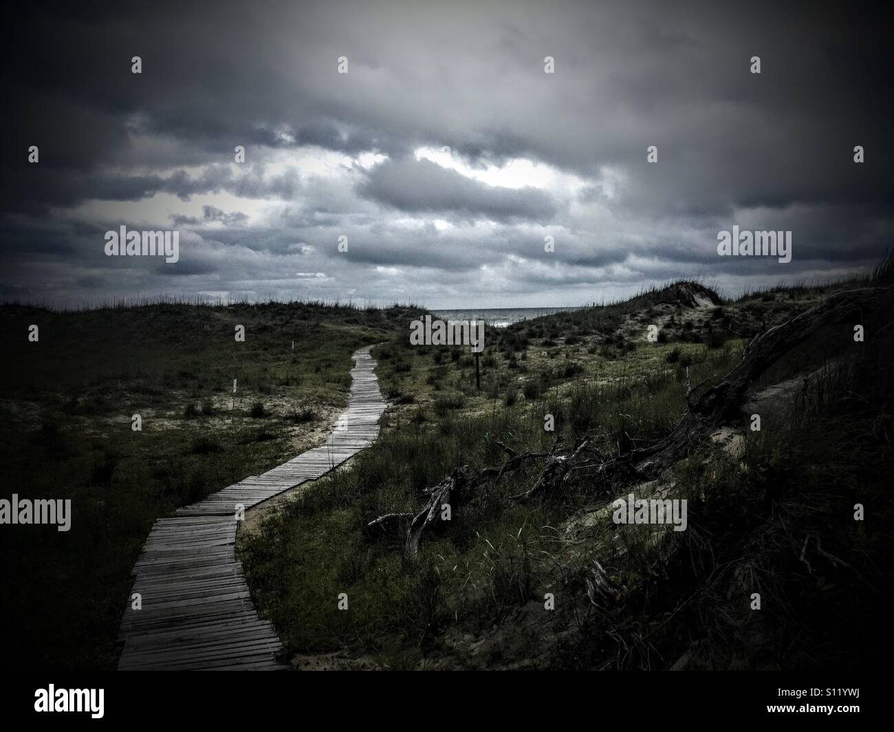 Trail in Virginia Beach Stock Photo - Alamy
