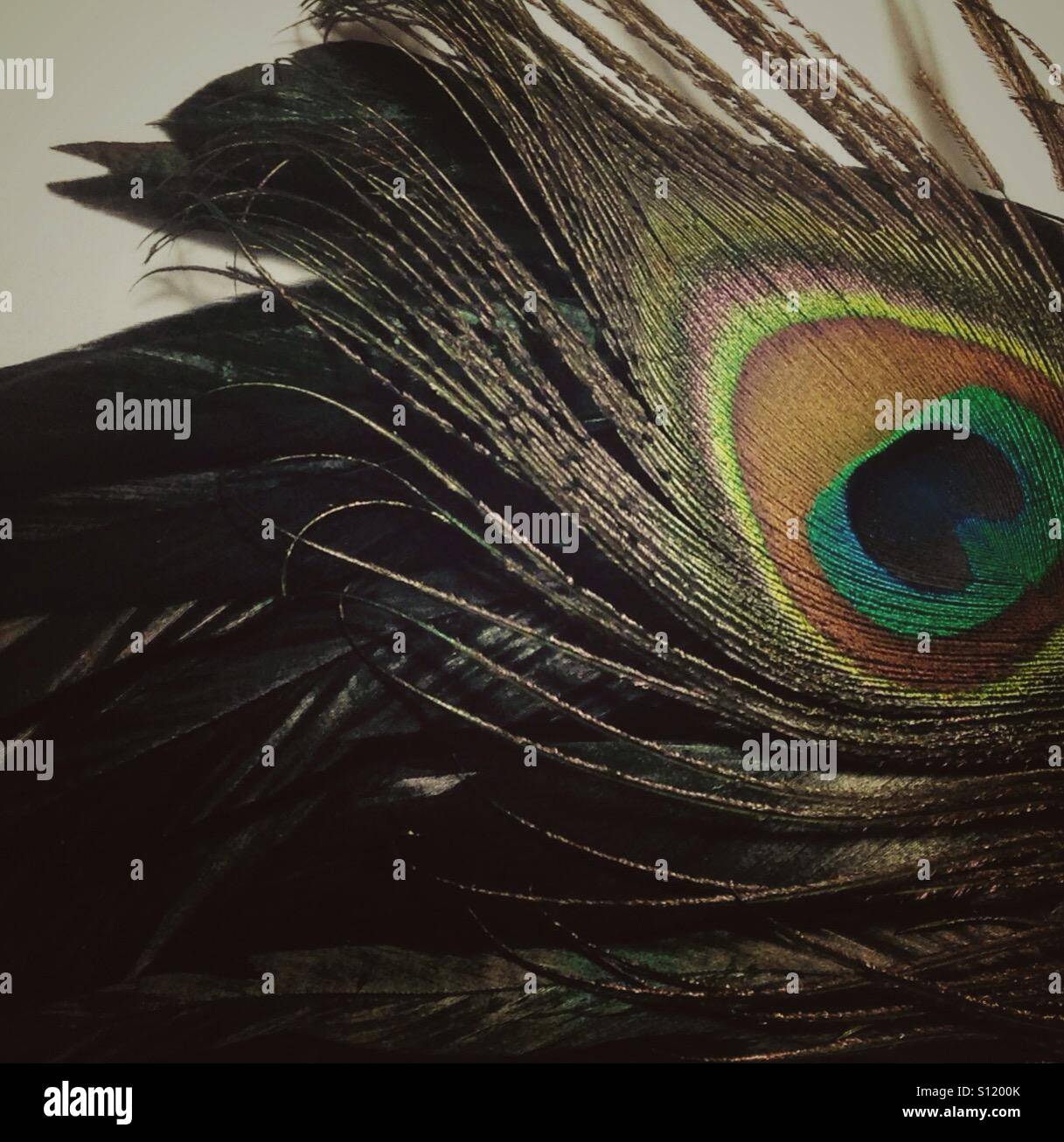 Emerald Green High Resolution Stock Photography and Images - Alamy